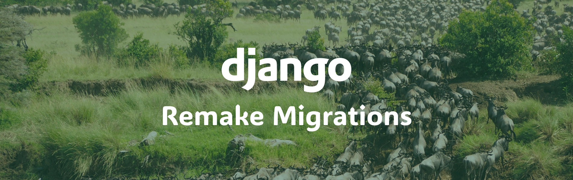 Introducing django-remake-migrations | browniebroke.com